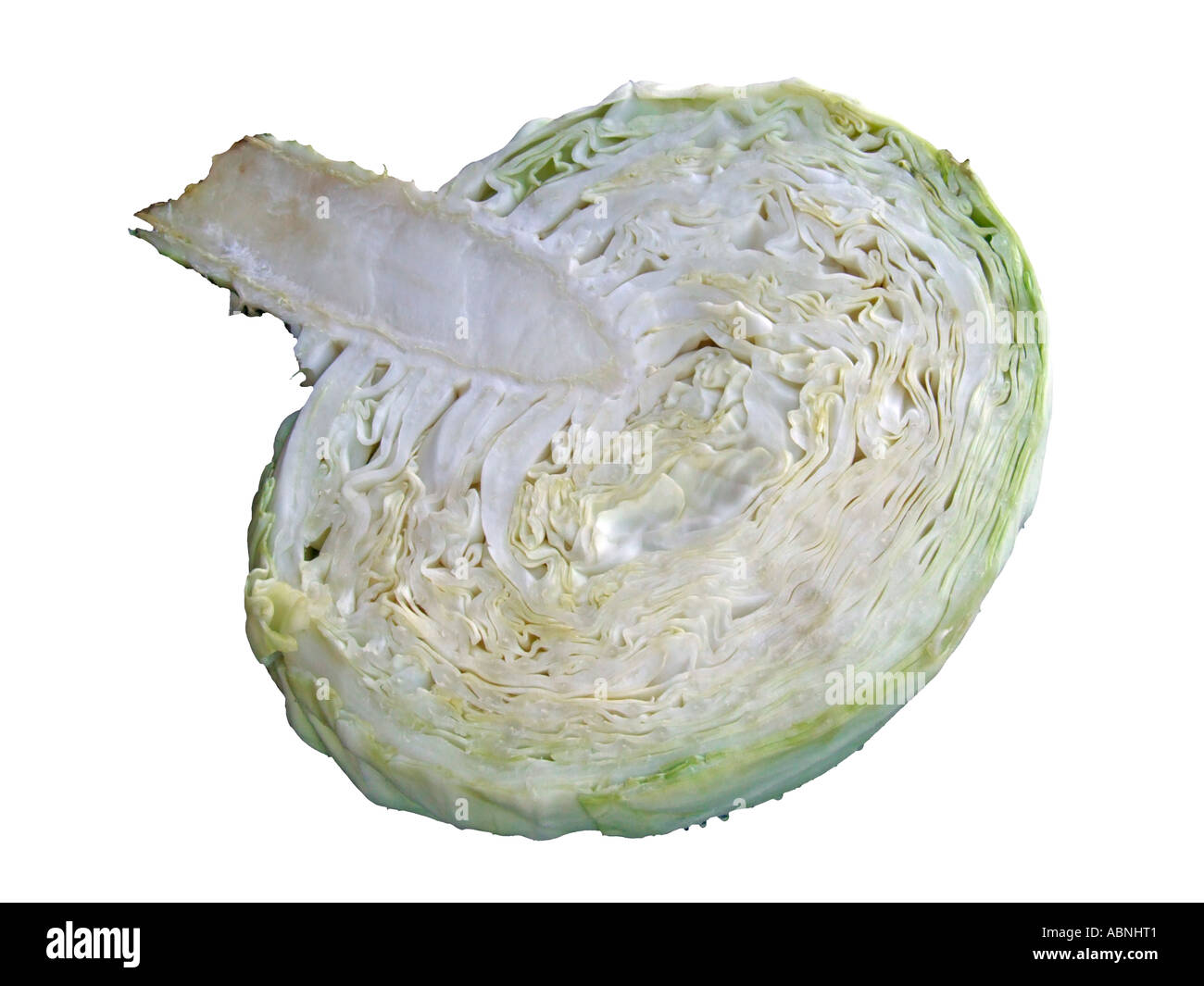 Cabbage cut in half on a white background Stock Photo - Alamy
