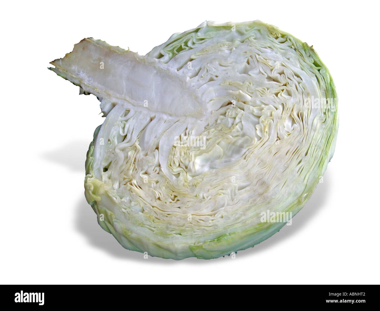 Cabbage cut in half on a white background with a shadow Stock Photo - Alamy