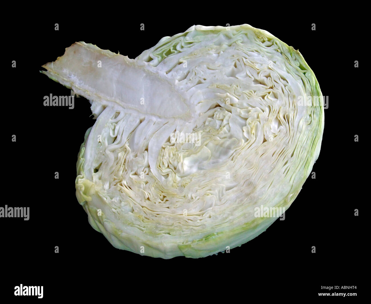 Cabbage cut hi-res stock photography and images - Alamy