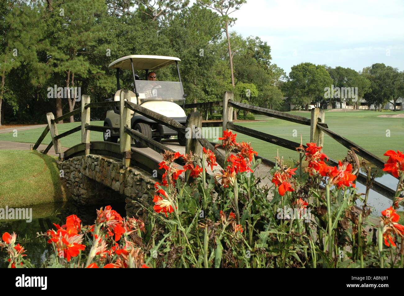 Tarpon Springs Florida Westin Innisbrook Resort Copperhead Golf Course ...