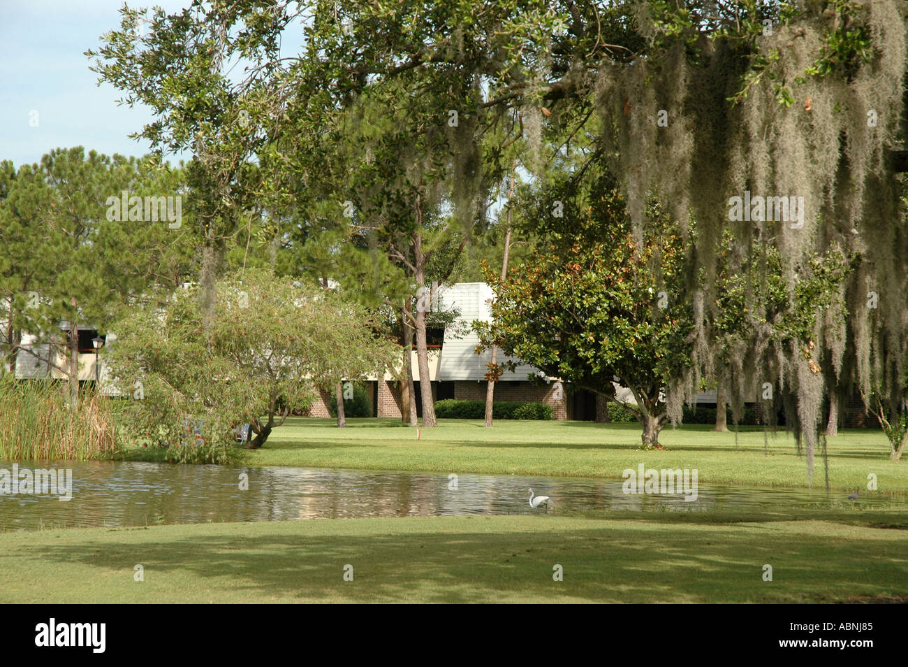 Tarpon Springs Florida Westin Innisbrook Resort Guest Lodge on the ...