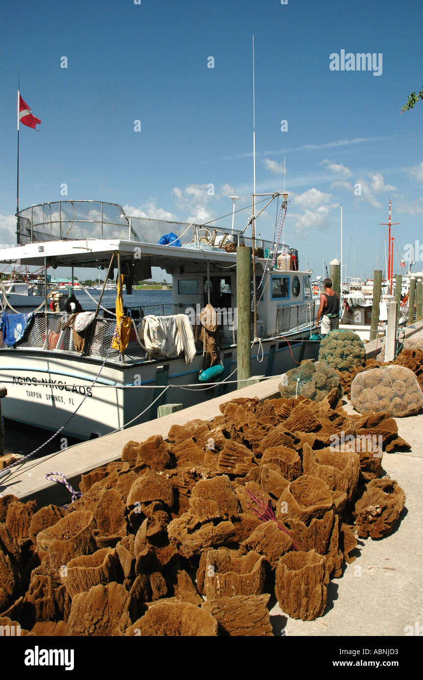 Sponge docks hi-res stock photography and images - Alamy