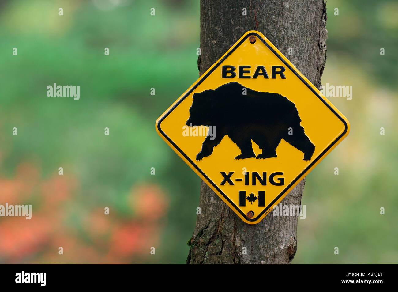 Focussed traffic warning sign hi-res stock photography and images - Alamy
