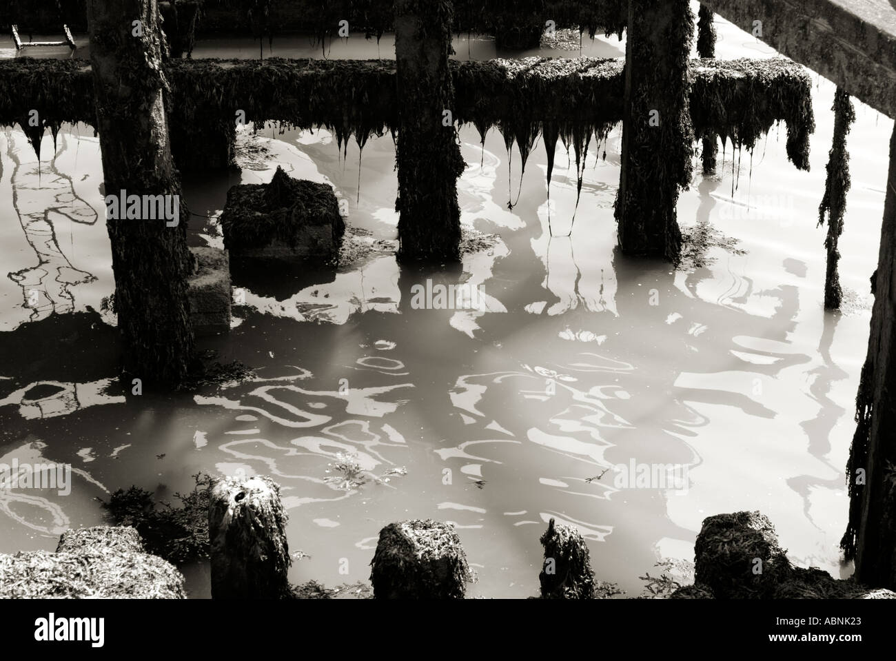 Derelict wooden jetty and mooring lines Stock Photo - Alamy