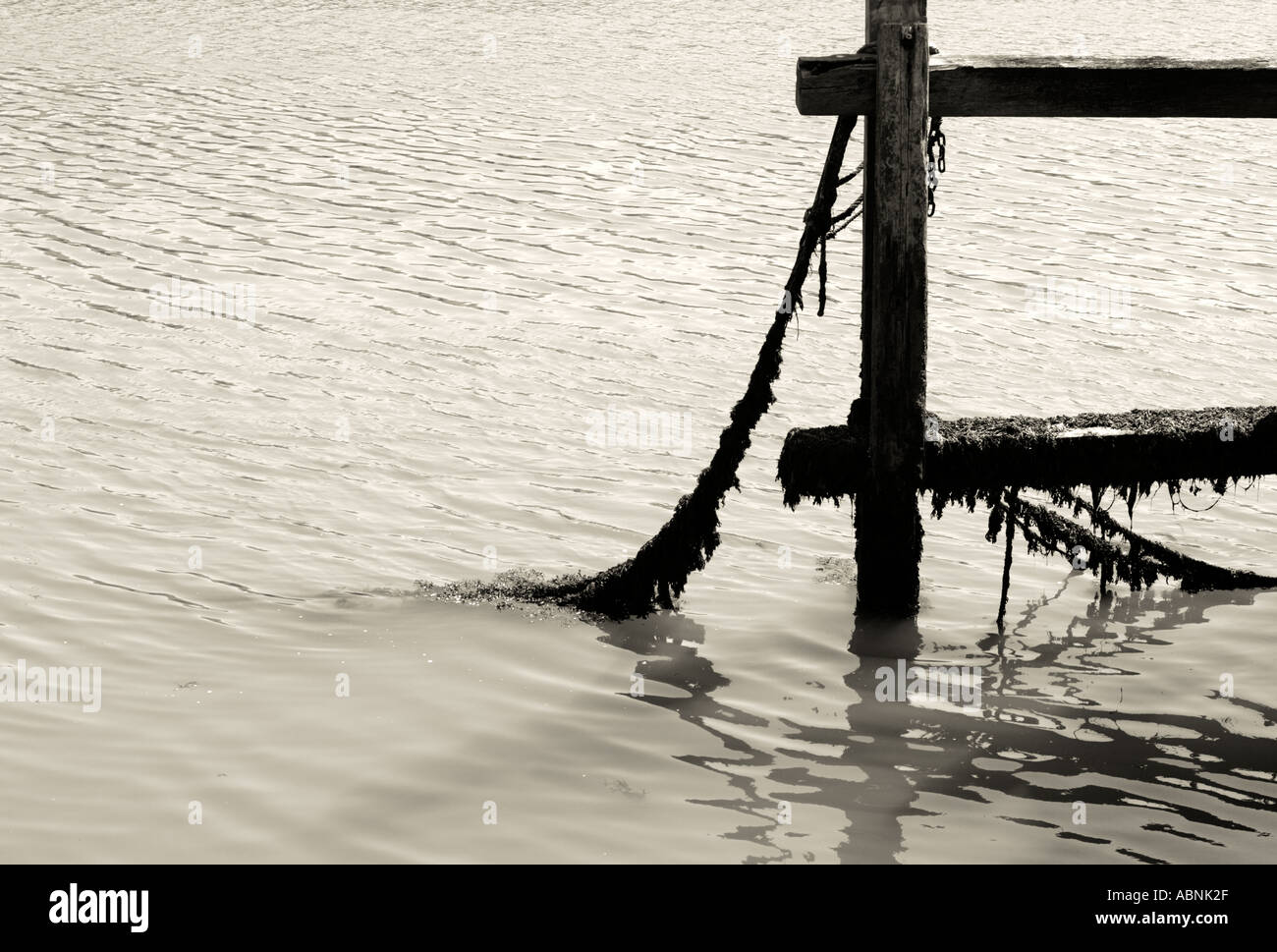 Derelict wooden jetty and mooring lines Stock Photo - Alamy