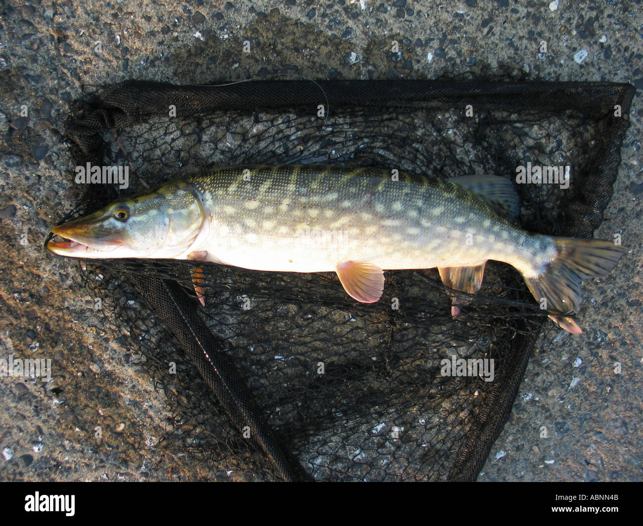 Pike landing hi-res stock photography and images - Alamy