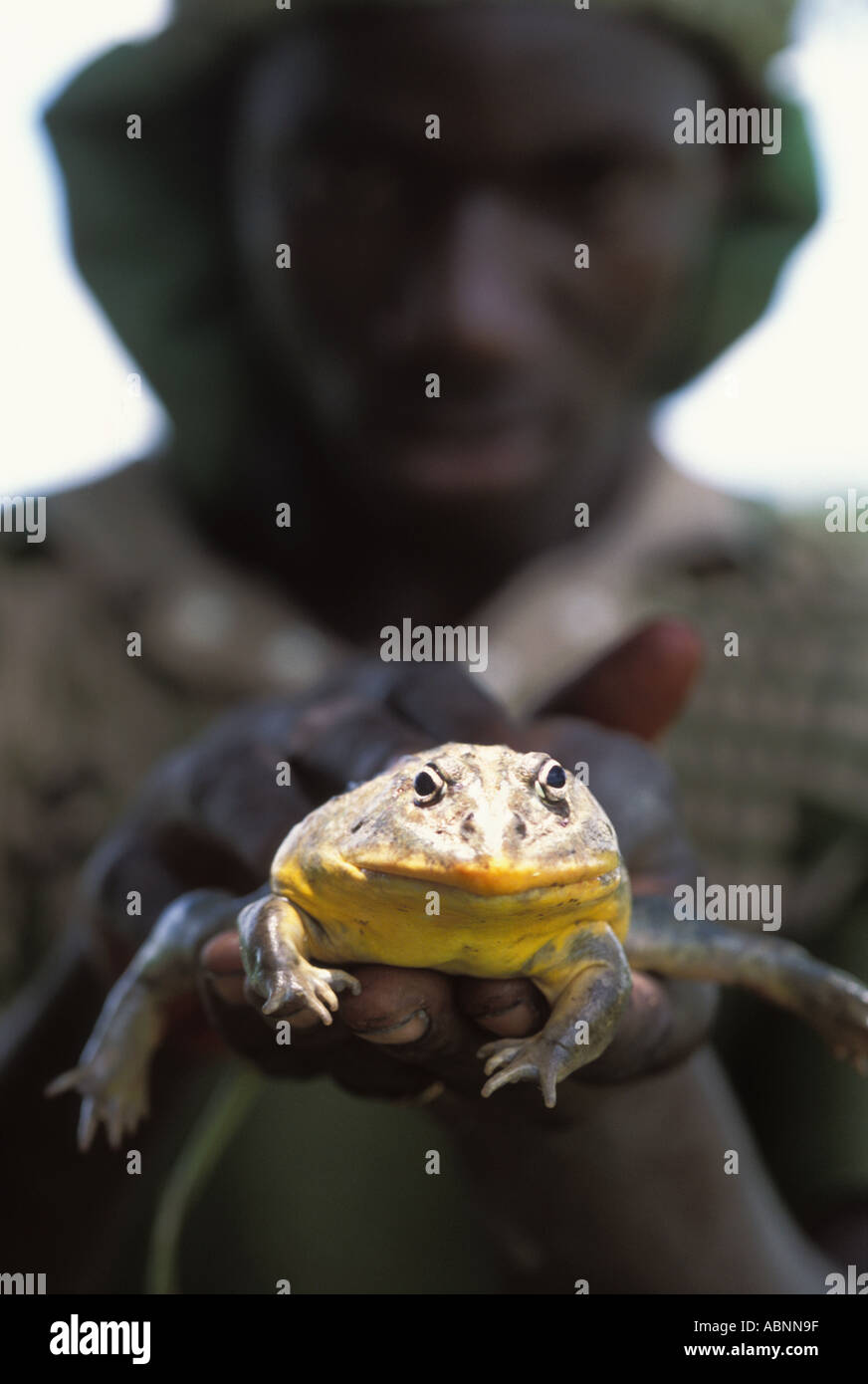 African father and son farmers hi-res stock photography and images - Alamy