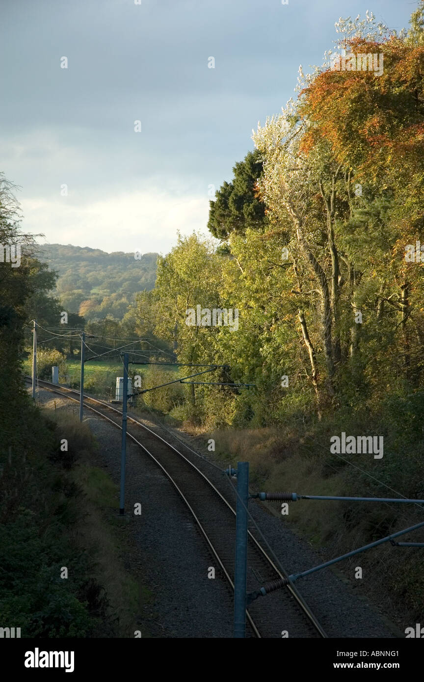 Autumnal trees alongside a single track railway Stock Photo - Alamy