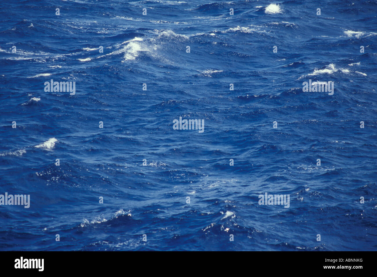 Whitecap ocean waves hi-res stock photography and images - Alamy