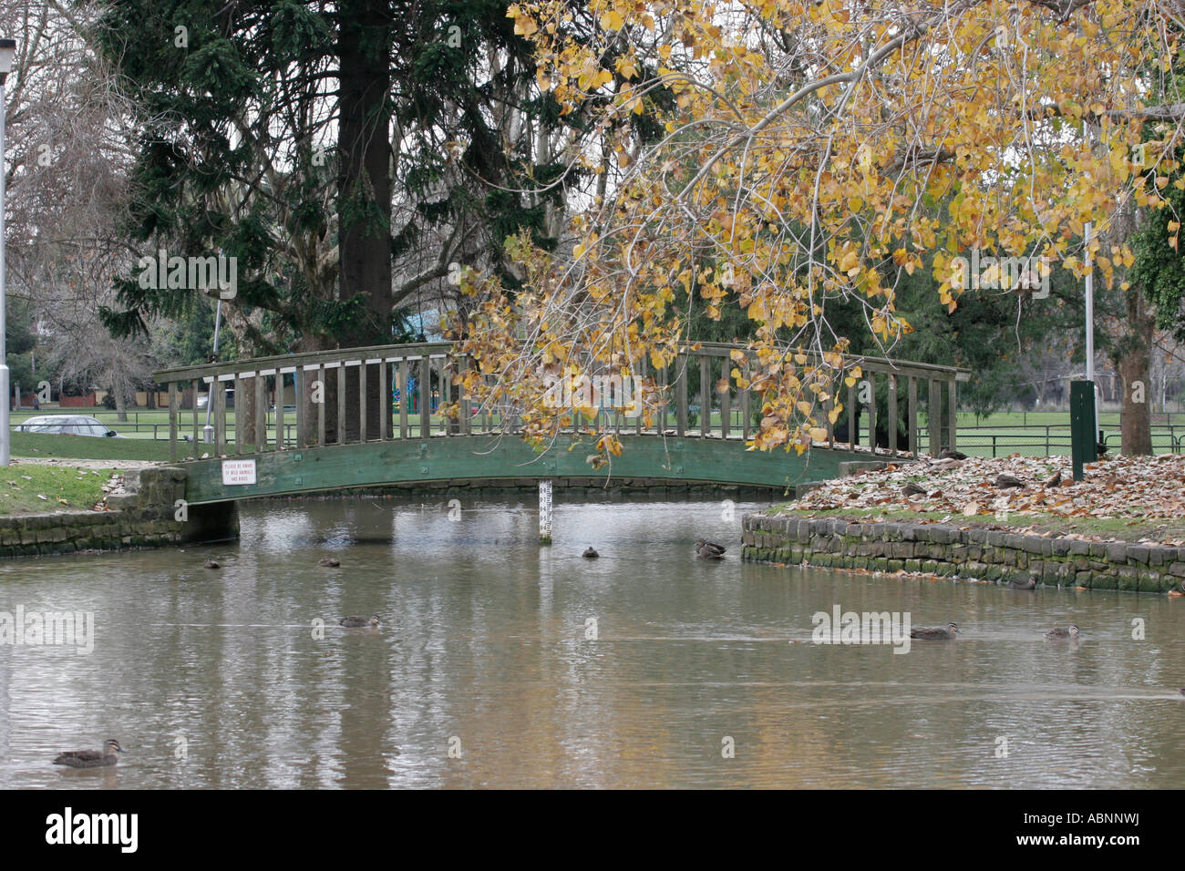 lake at the park Stock Photo - Alamy