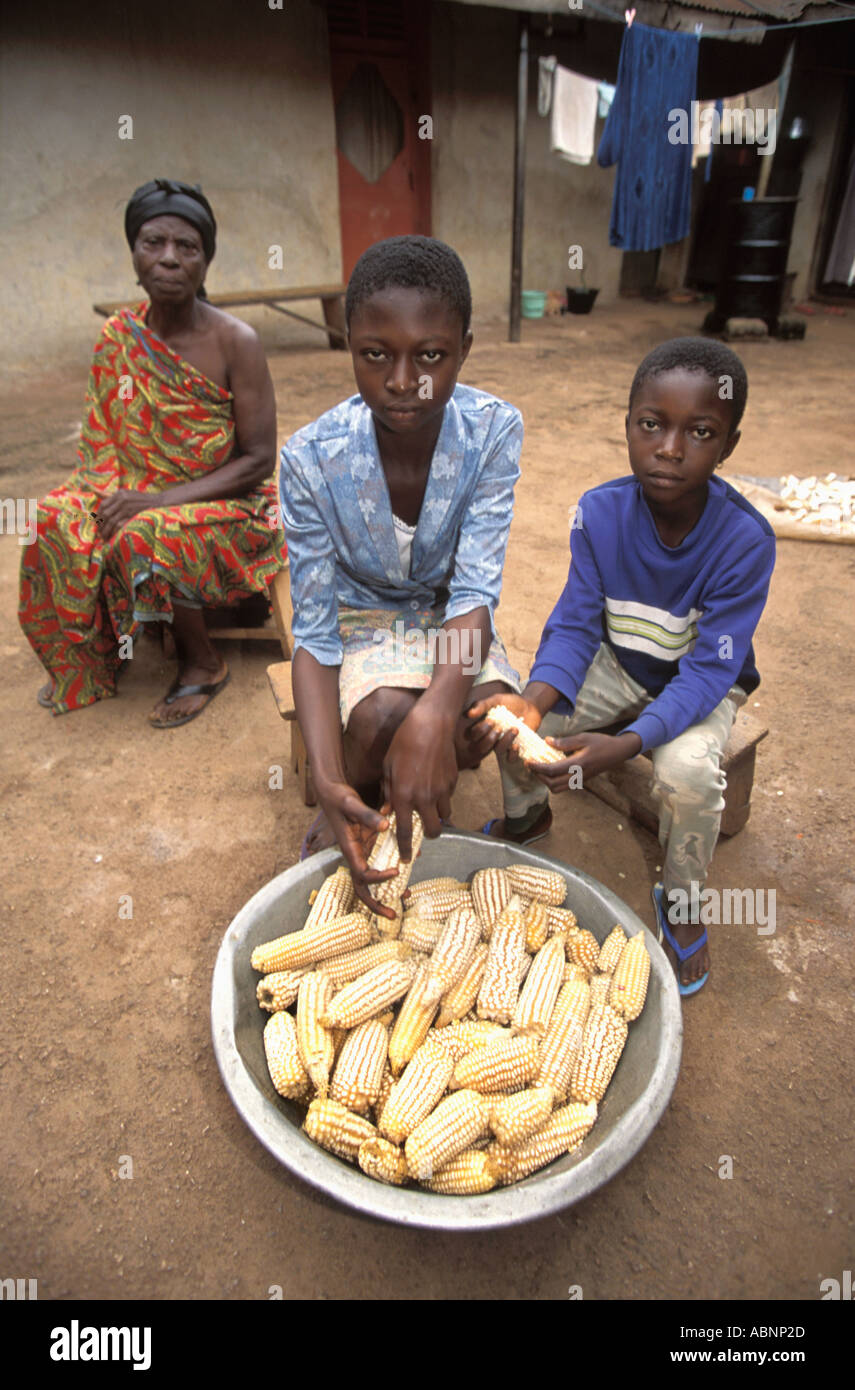 Ghana maize growers victims of World Trade in their family yard with ...