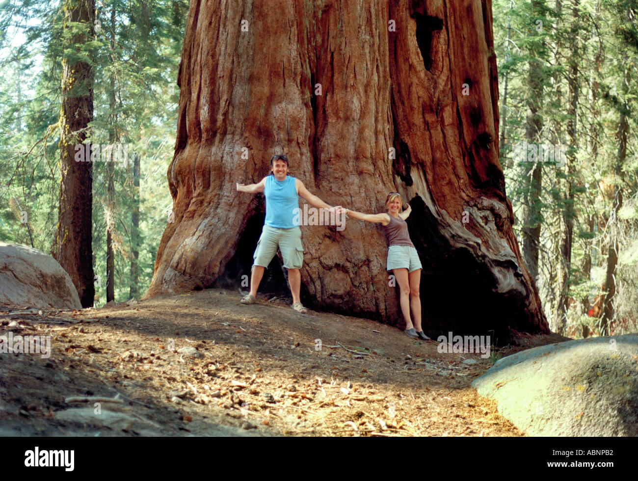 Tiny COUPLE NEXT TO GIANT SEQUOIA REDWOOD TREE Stock Photo - Alamy