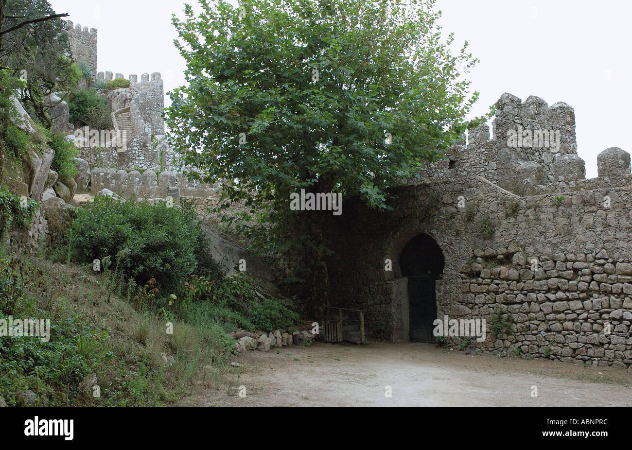 View of the medieval Moorish walls Castle Castelo do Mouros Sintra ...