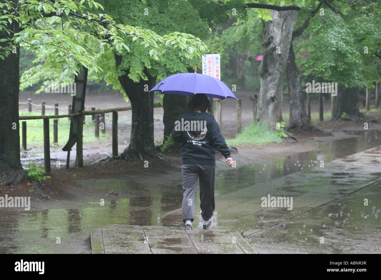 walk in the rain Stock Photo - Alamy