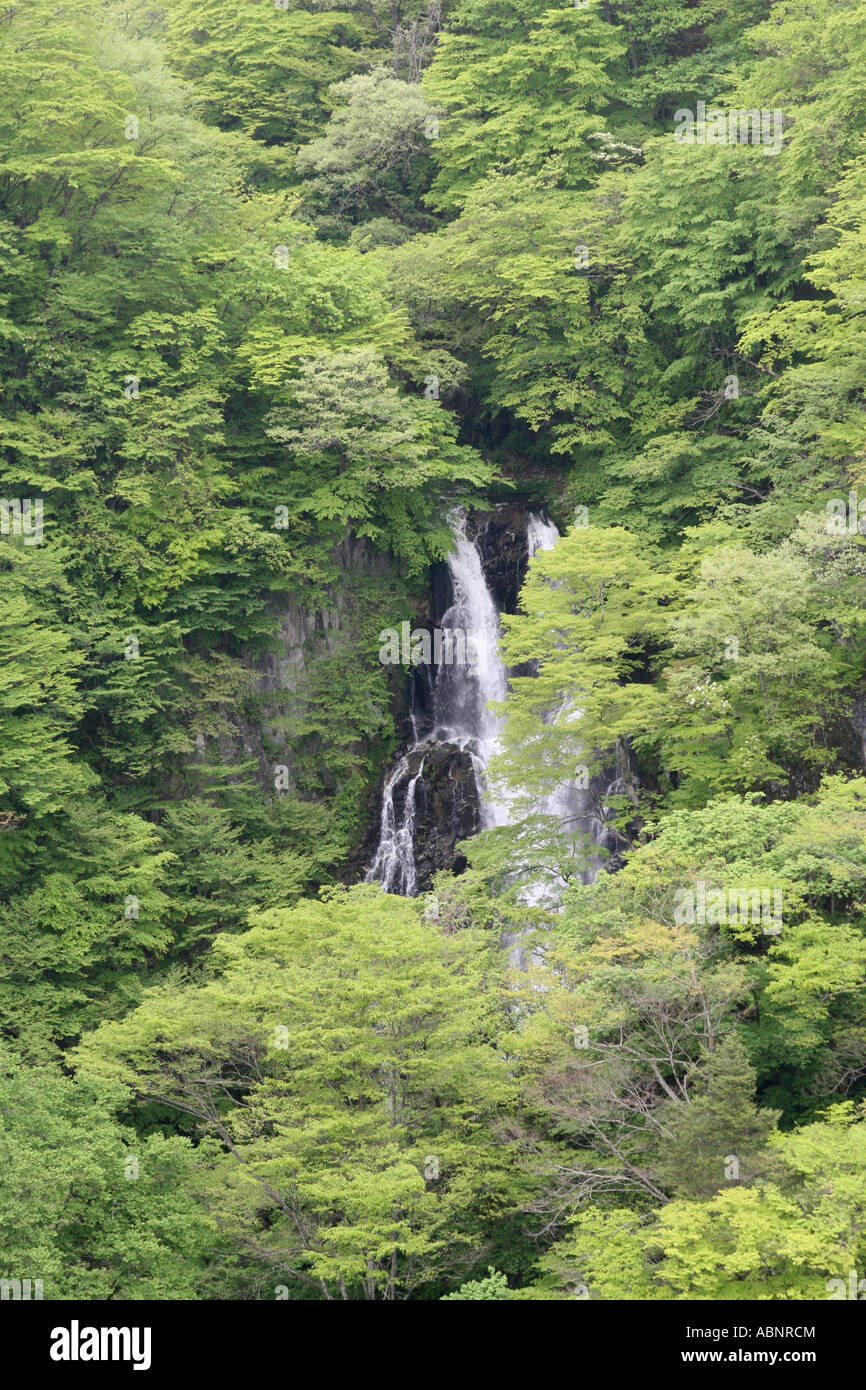waterfall, Nikko, Japan Stock Photo - Alamy