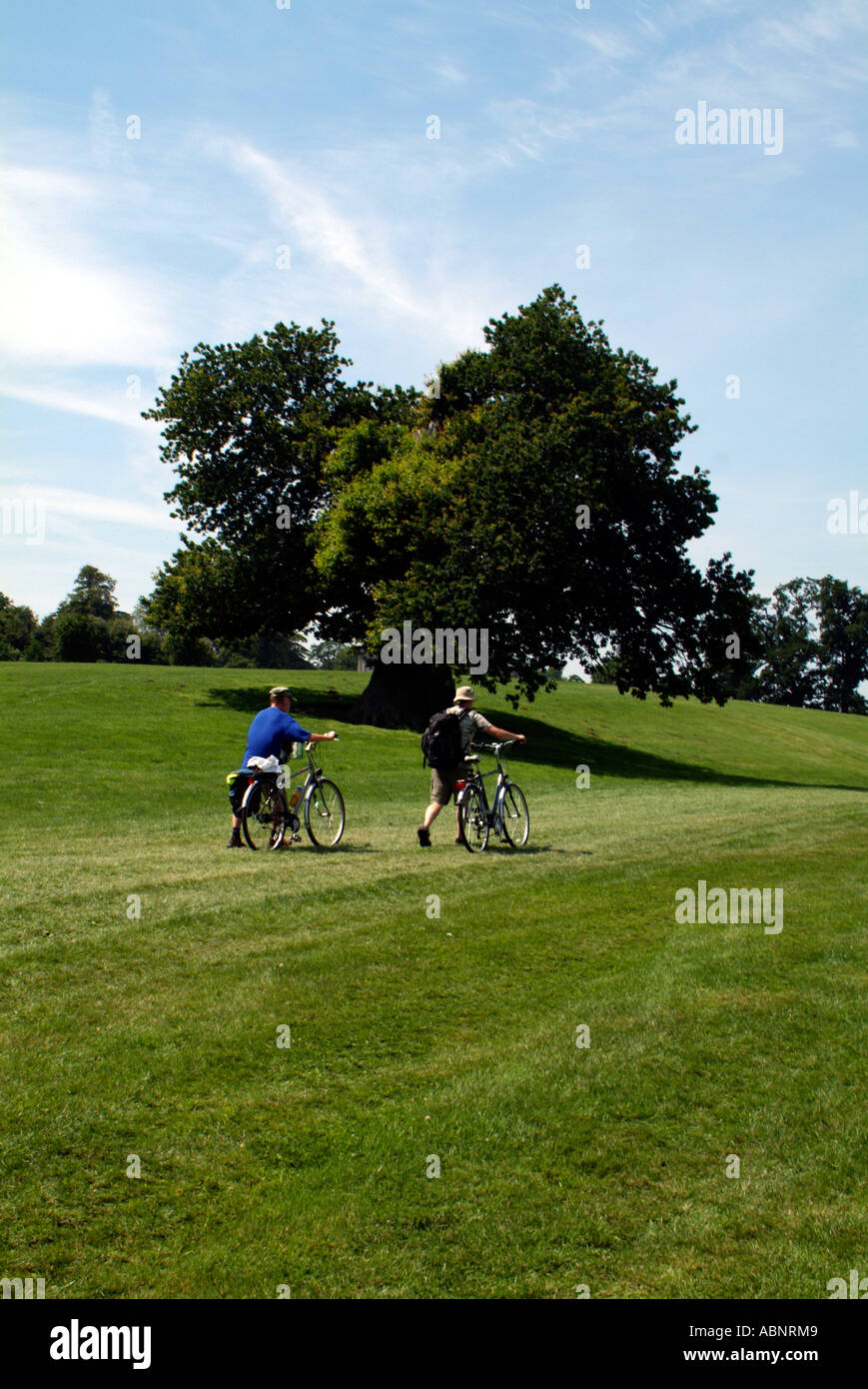 couple walking pushing bicycles together Stock Photo - Alamy