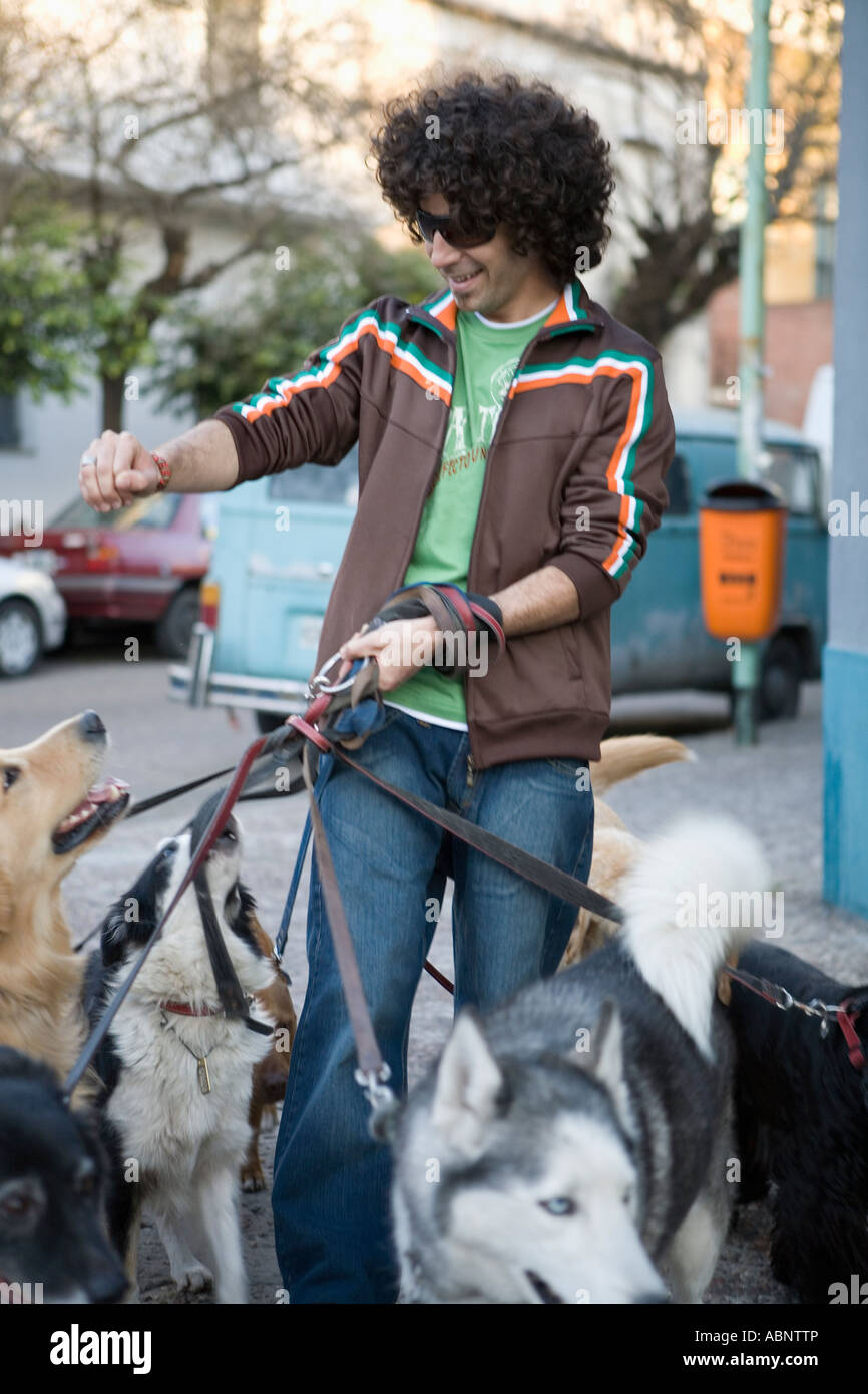 Young man walking dogs Stock Photo - Alamy