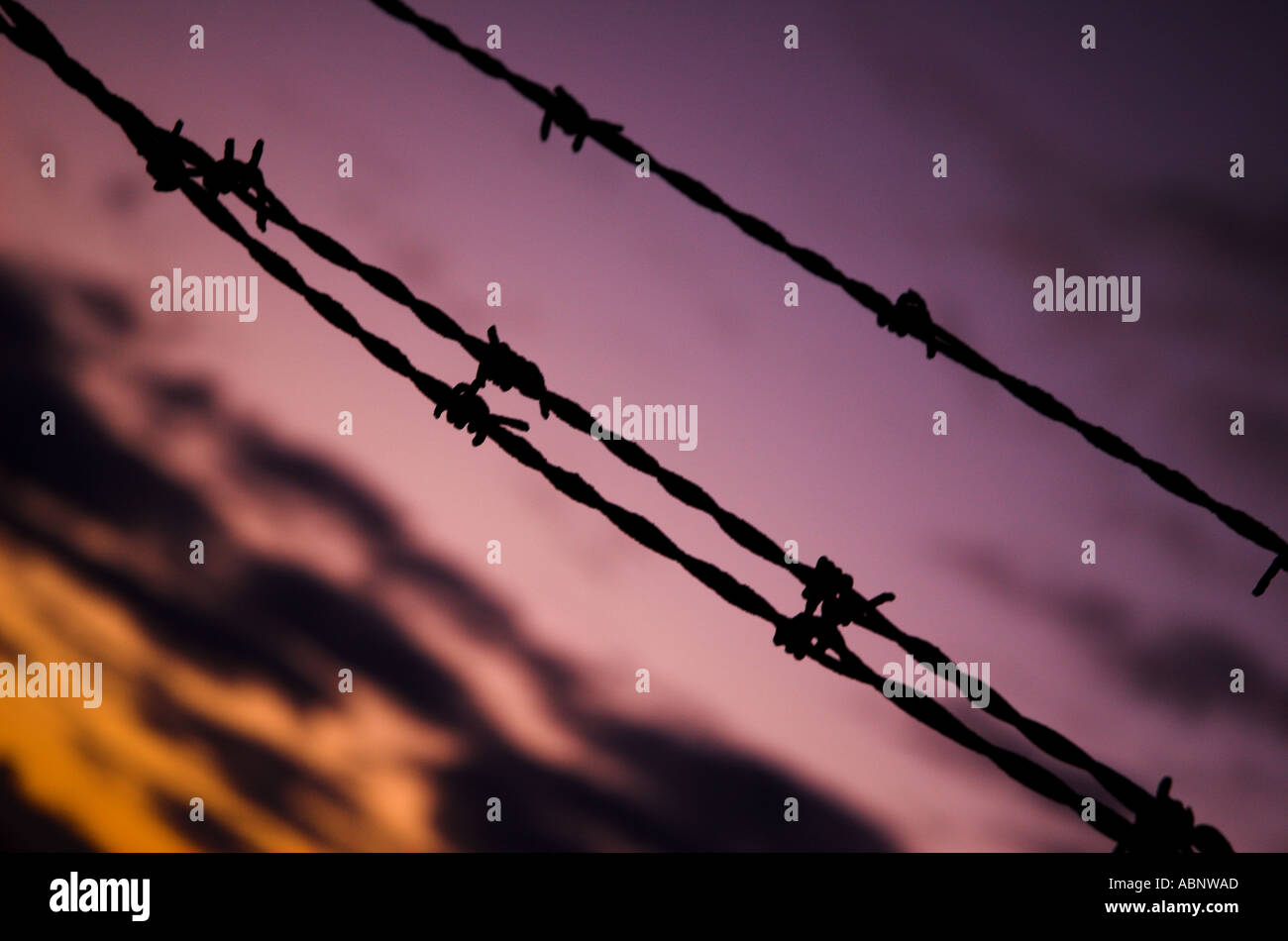 Two barb wires hi-res stock photography and images - Alamy