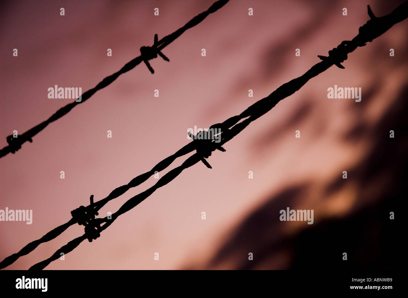 Barbed wire in front of a beautiful purple sky Stock Photo - Alamy