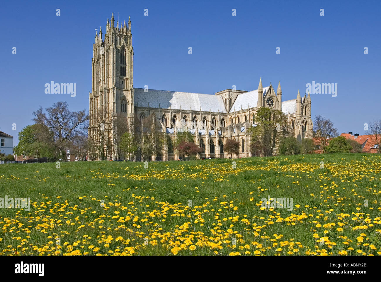 Beverley Minster East Yorkshire UK View from SW Stock Photo - Alamy