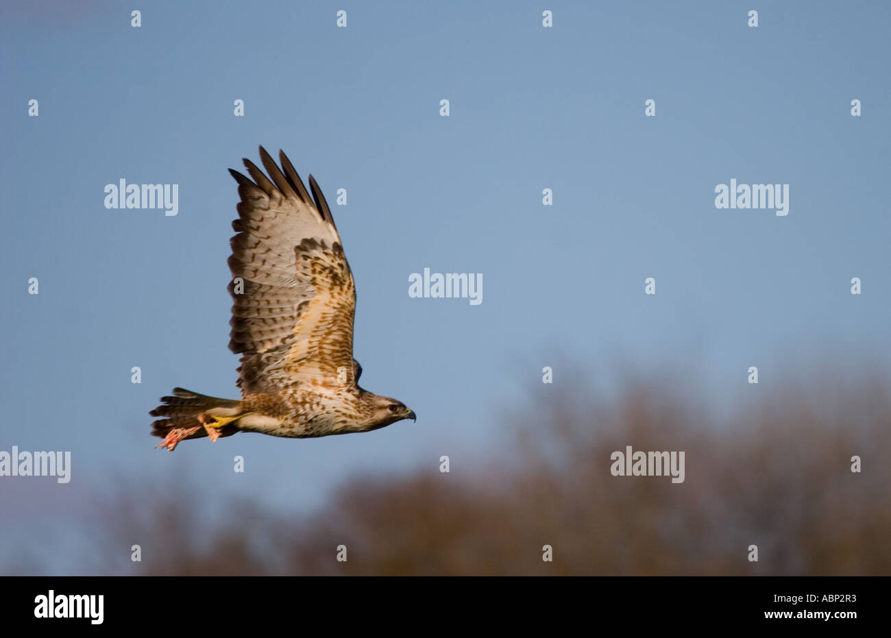 Stooping hi-res stock photography and images - Alamy