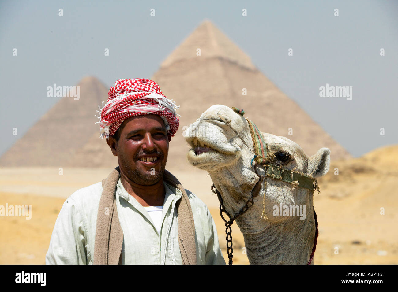 Camel and owner at Giza Pyramids Cairo Egypt model release 436 Stock ...