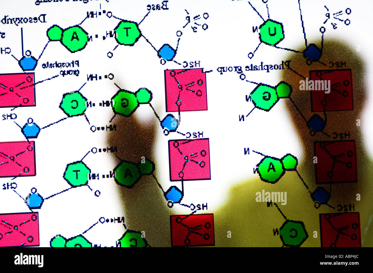 abstract view of doctor discussing medical symbol display to fellow ...