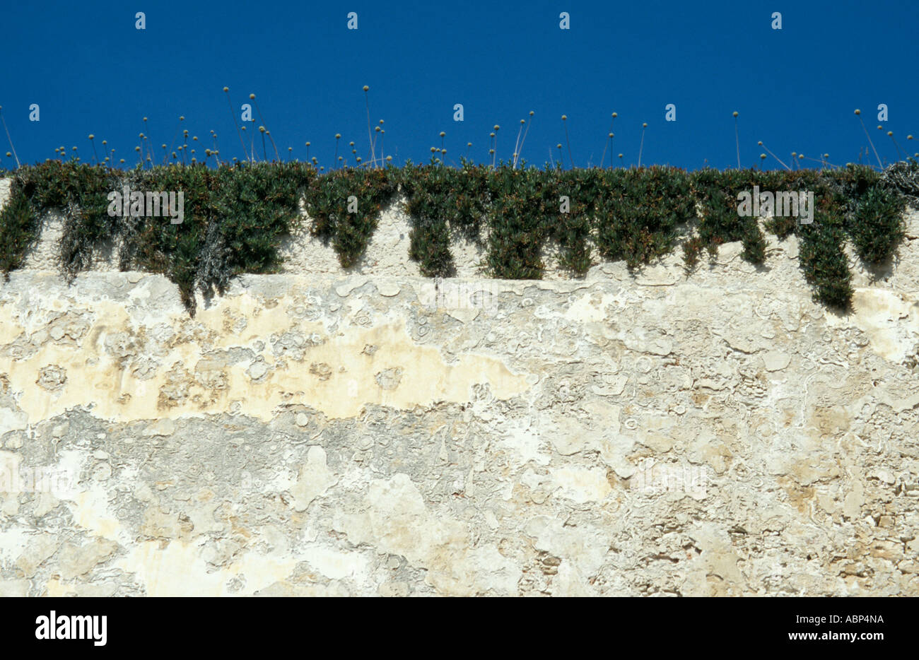 France crumbling hedge hi-res stock photography and images - Alamy