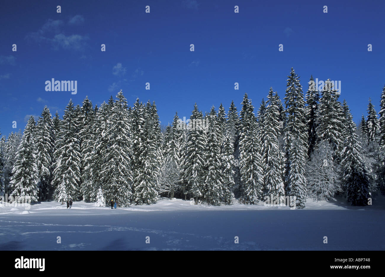 Fusine lake winter hi-res stock photography and images - Alamy