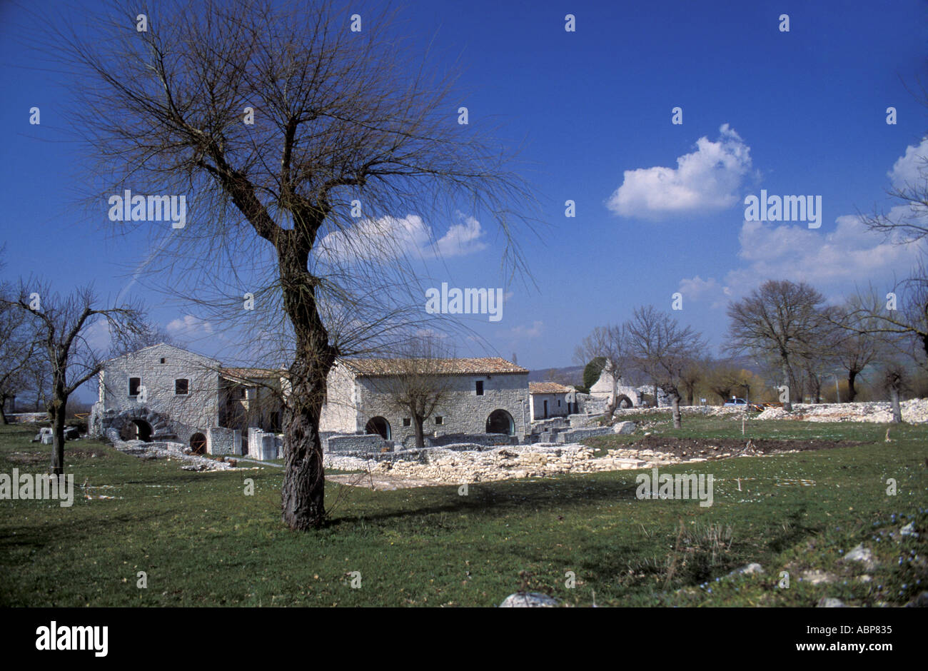 Altilia archaelogical area Stock Photo - Alamy