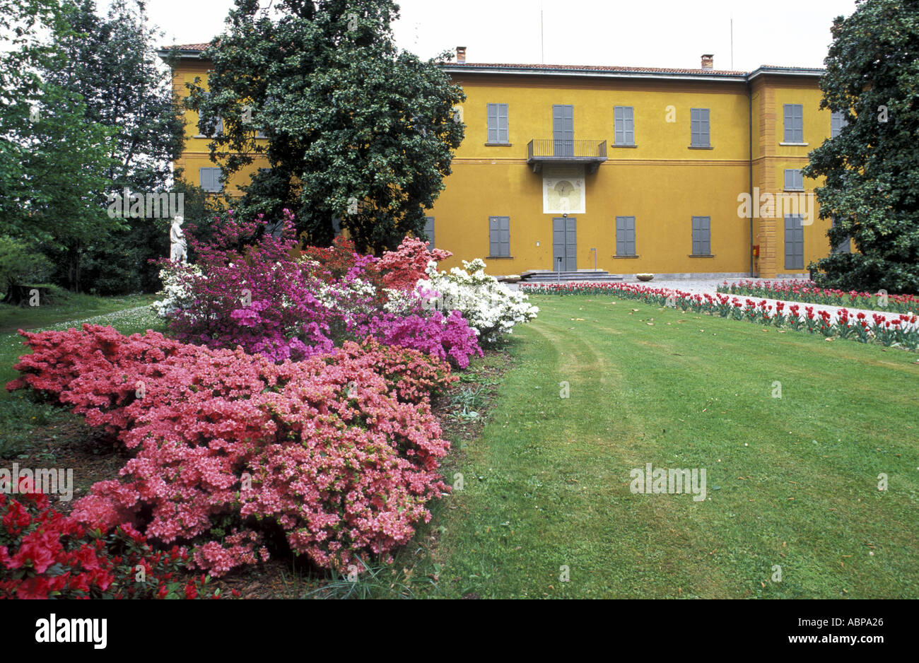 Raimondi hi-res stock photography and images - Alamy