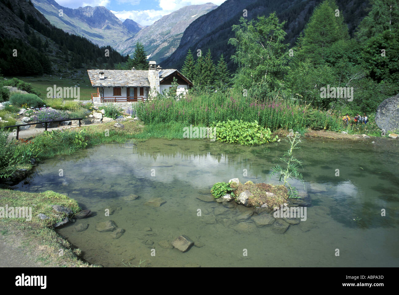 Paradisia hi-res stock photography and images - Alamy