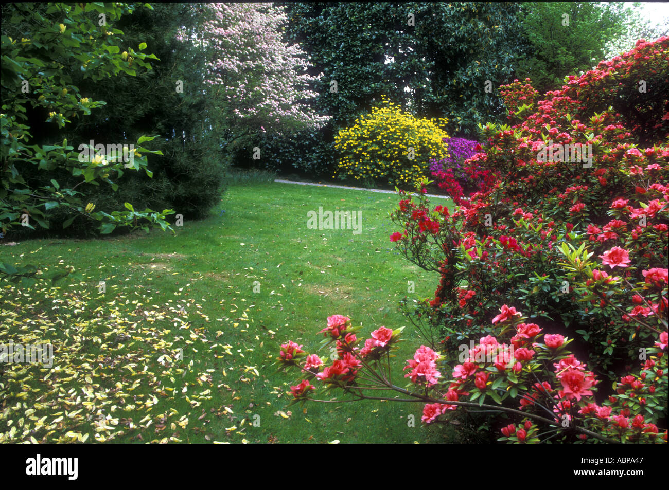 Spring flowering bushes in the south east part of the island Stock ...