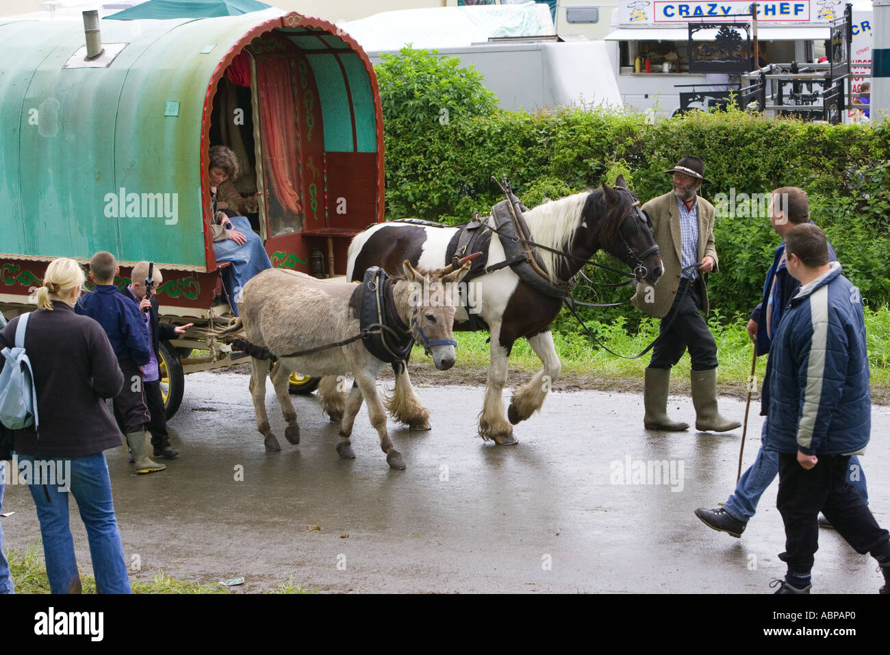 Horse Pulling Gypsy Caravan High Resolution Stock Photography and ...