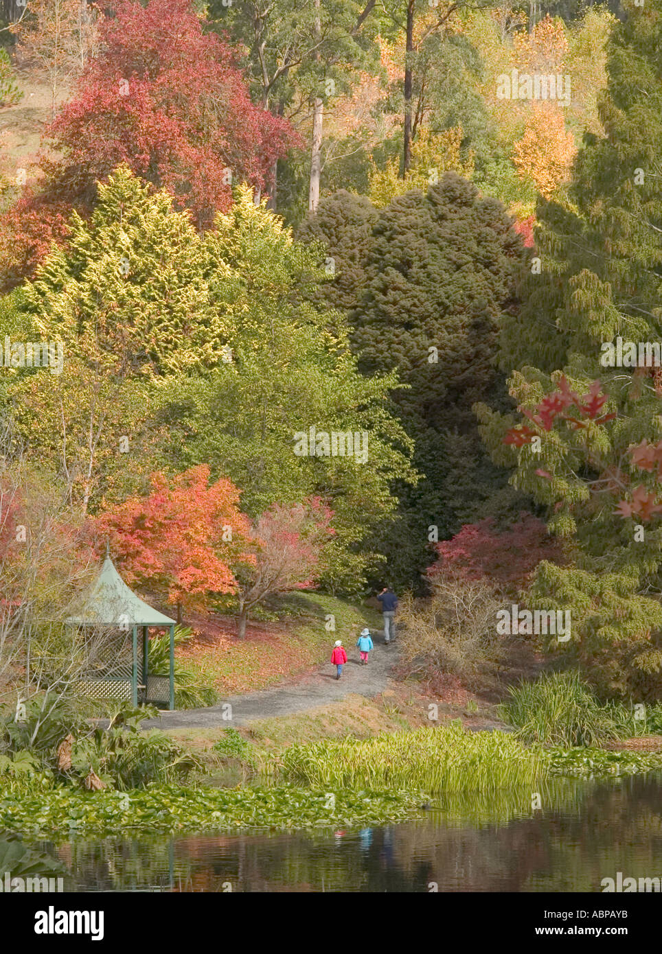 Lofty trees hi-res stock photography and images - Alamy