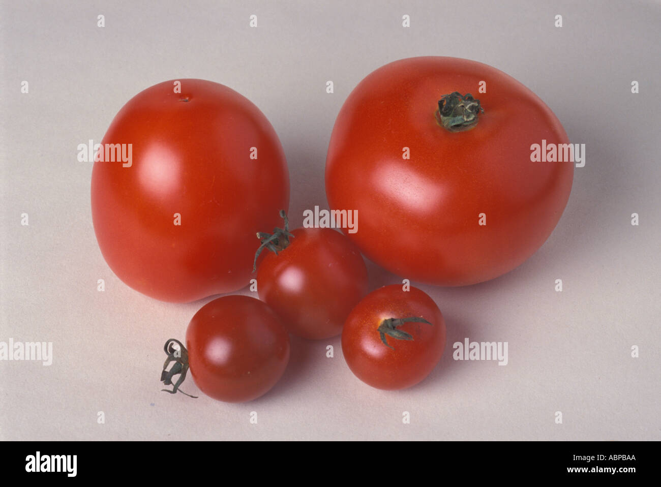 MISCELLANEOUS FOOD Vegetables Stock Photo - Alamy