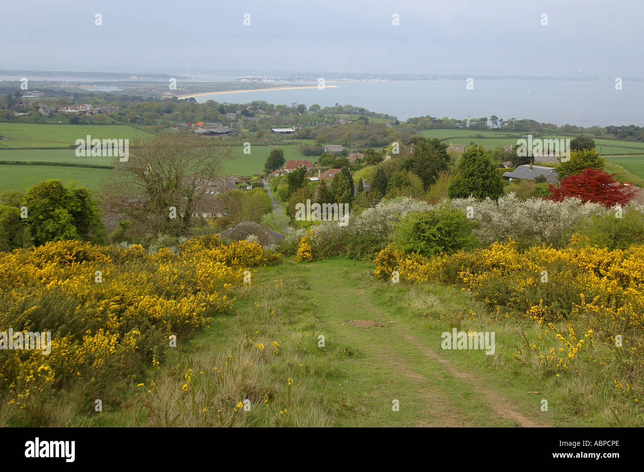The view over Studland Bay from Ballard Down Dorset Picture by Andrew ...