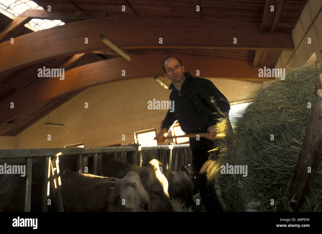 Sepp hi-res stock photography and images - Alamy