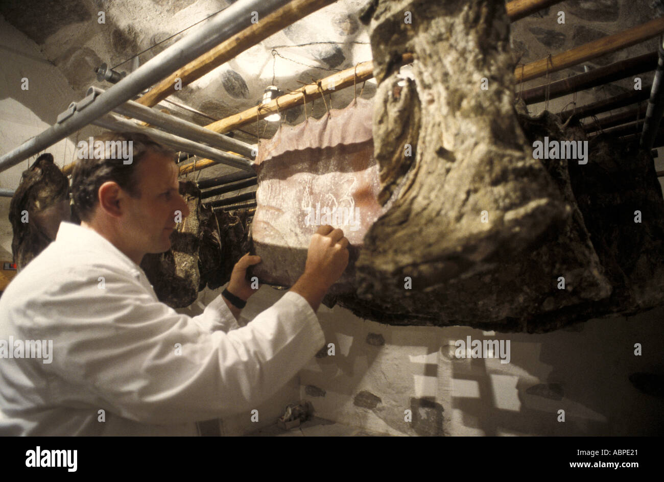 Maier hi-res stock photography and images - Alamy