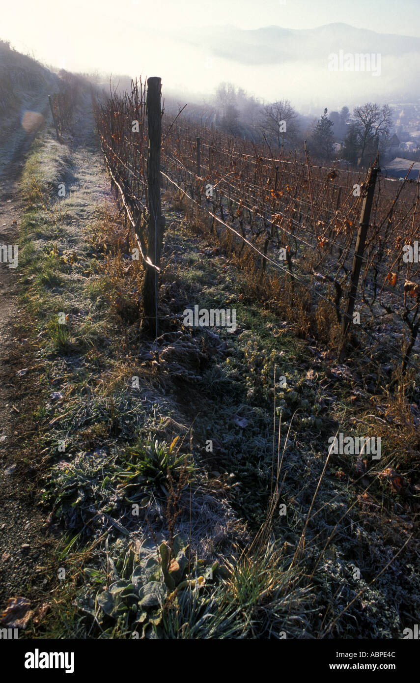 Nossing hi-res stock photography and images - Alamy