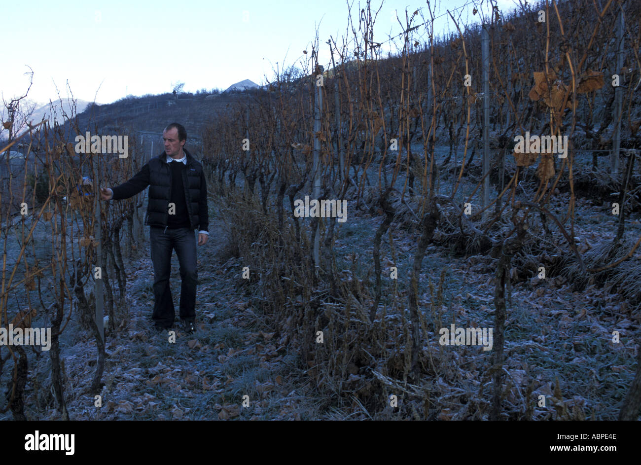 Nossing hi-res stock photography and images - Alamy