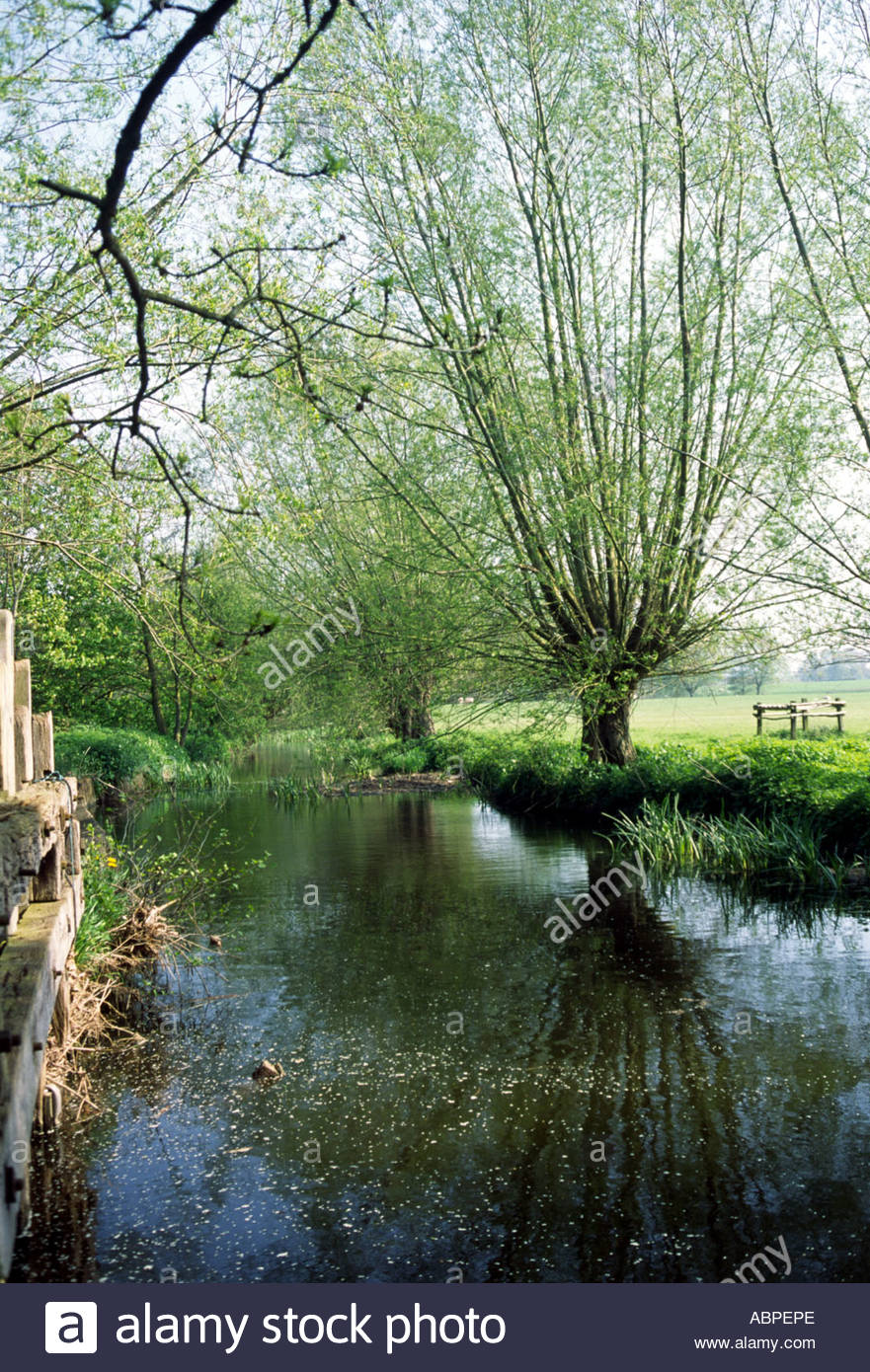 Alne Stock Photos & Alne Stock Images - Alamy