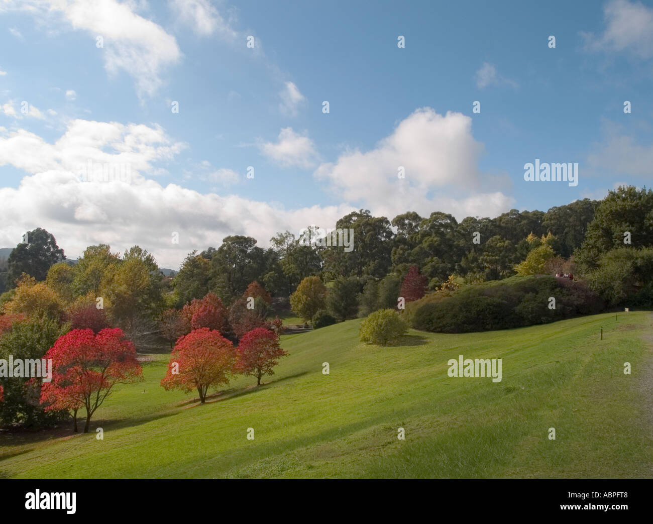 BOTANICAL GARDENS IN AUTUMN, , MOUNT LOFTY, ADELAIDE, SOUTH AUSTRALIA ...