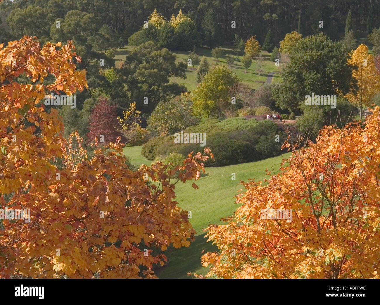 Mount lofty botanical garden hi-res stock photography and images - Alamy
