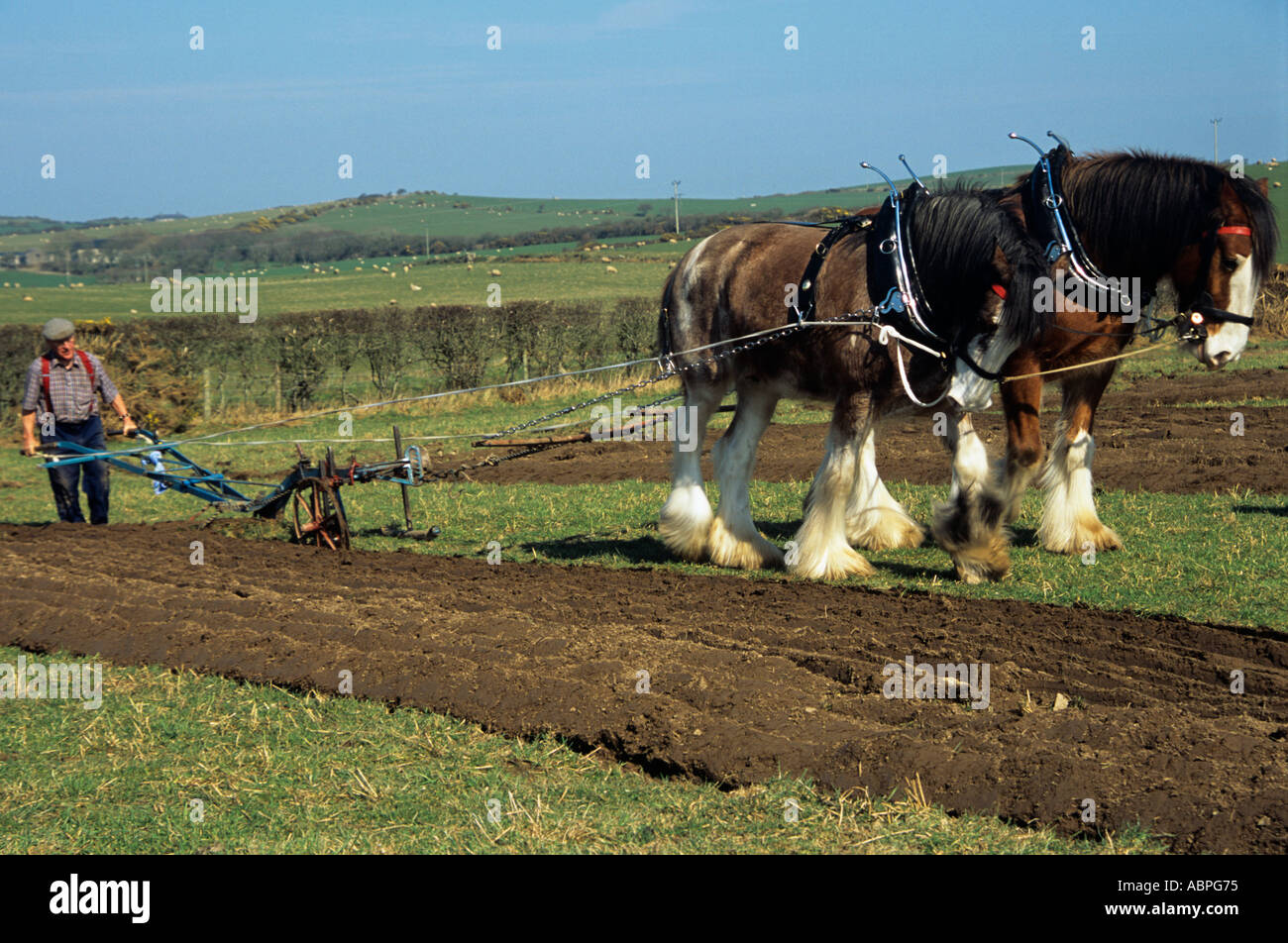 Hand plough hi-res stock photography and images - Alamy