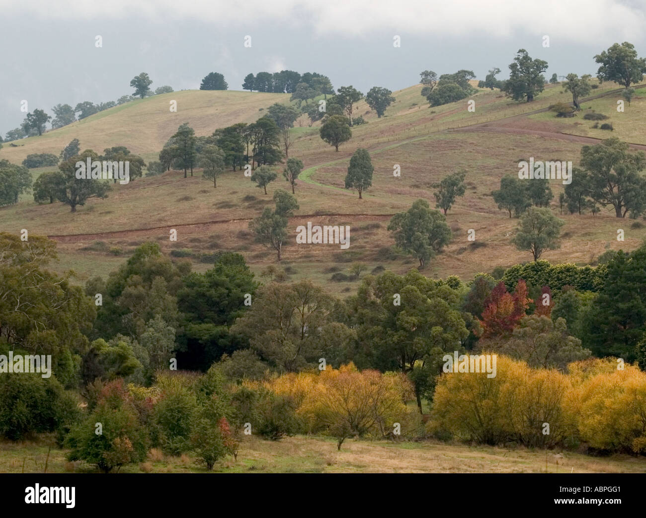 ADELAIDE HILLS, ADELAIDE, SOUTH AUSTRALIA Stock Photo - Alamy
