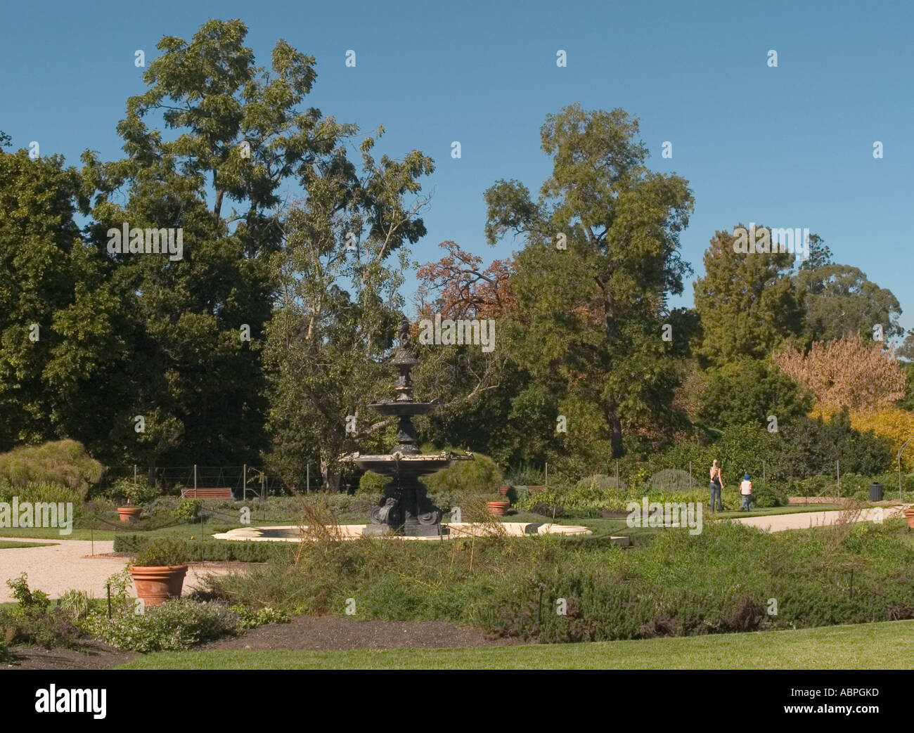 GARDEN VIEW WITH FOUNTAIN, ROYAL BOTANICAL GARDENS, ADELAIDE, SOUTH ...