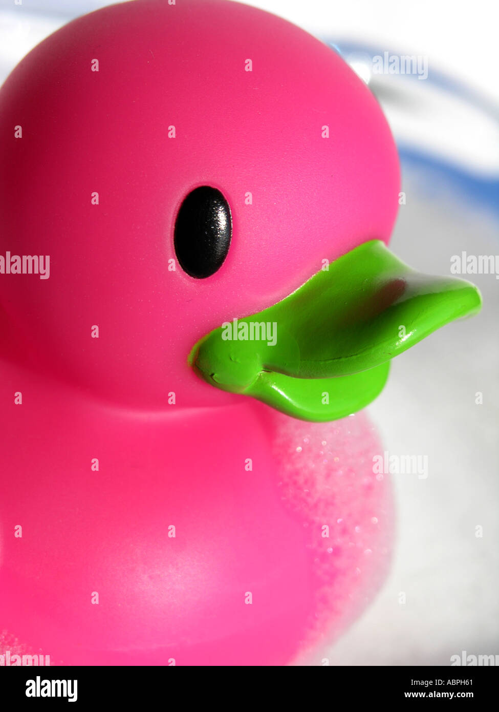 Pink rubber duck with bubbles Stock Photo - Alamy