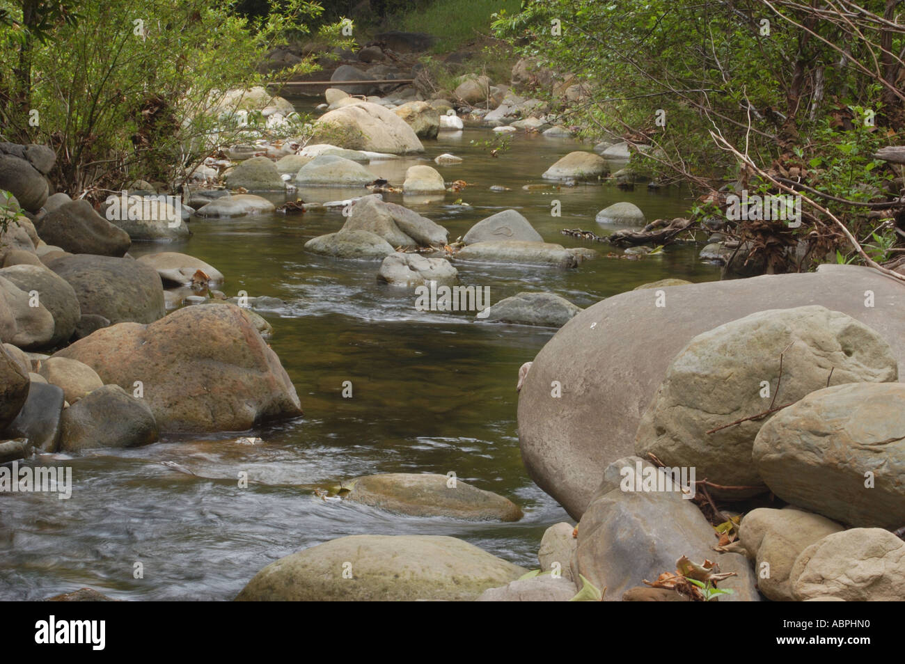 Arroyo hondo preserve hi-res stock photography and images - Alamy