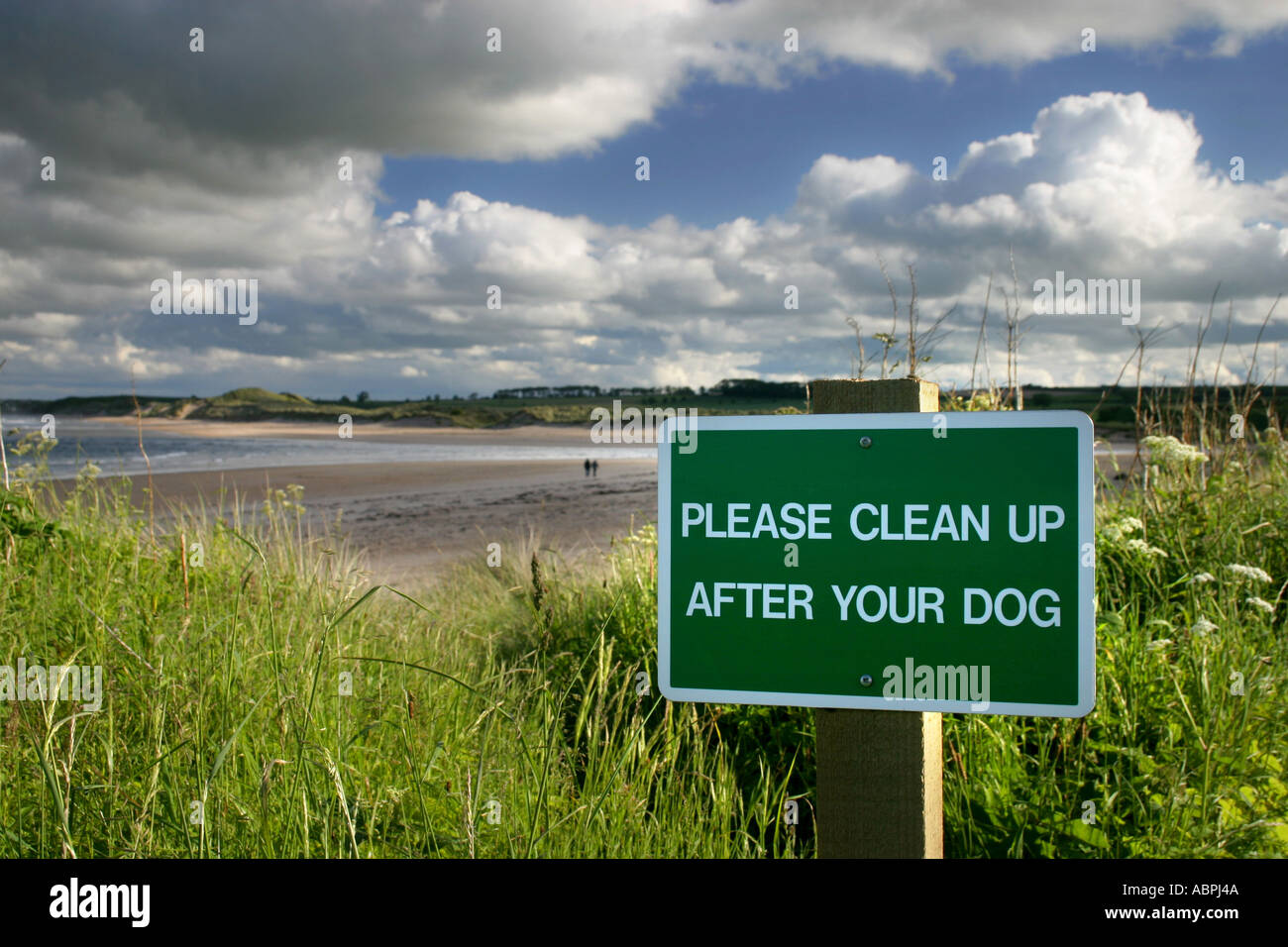 Please clean up after your dog sign on Alnmouth beach Northumberland UK ...